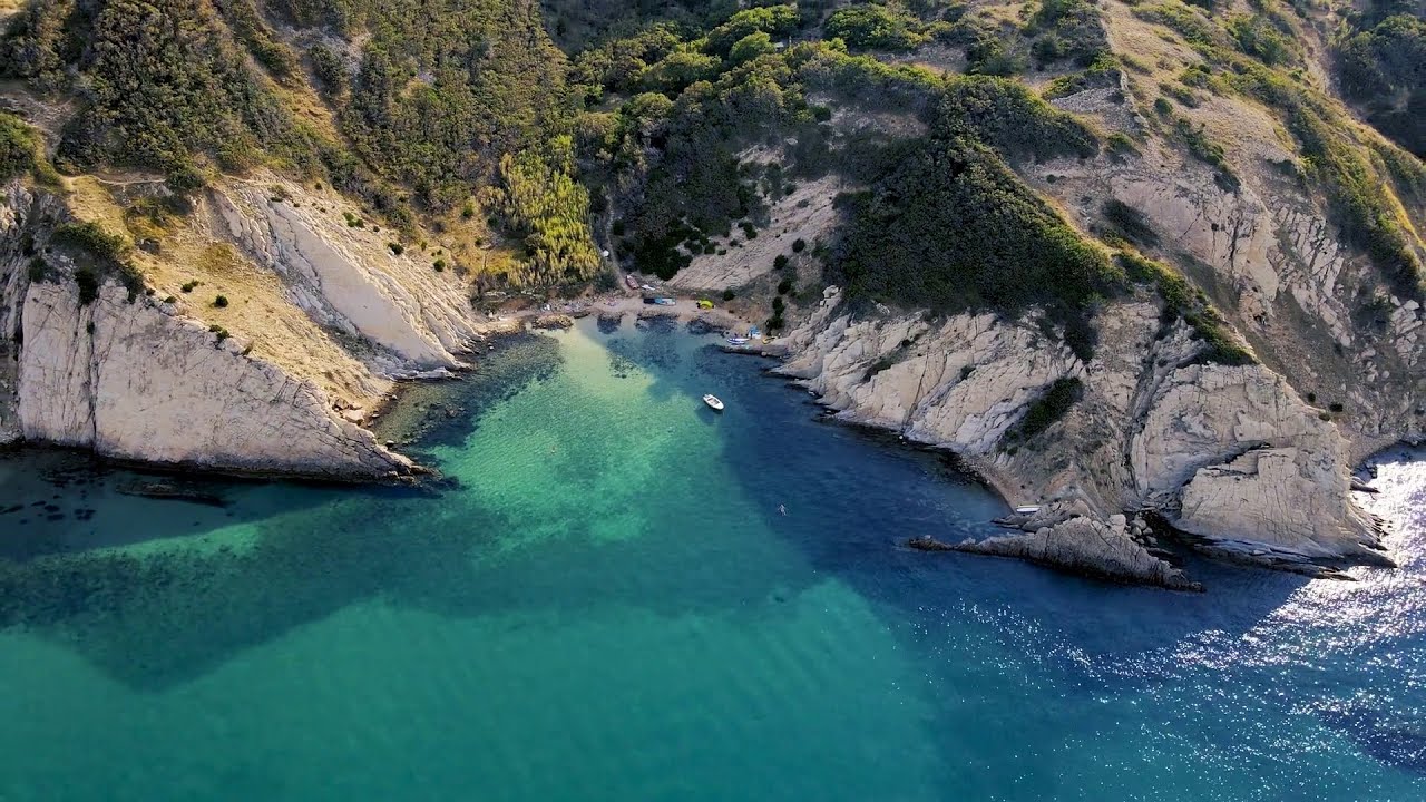 Beach | Autumn | Valley | Forest | flowers | Islands | Free HD Videos ...