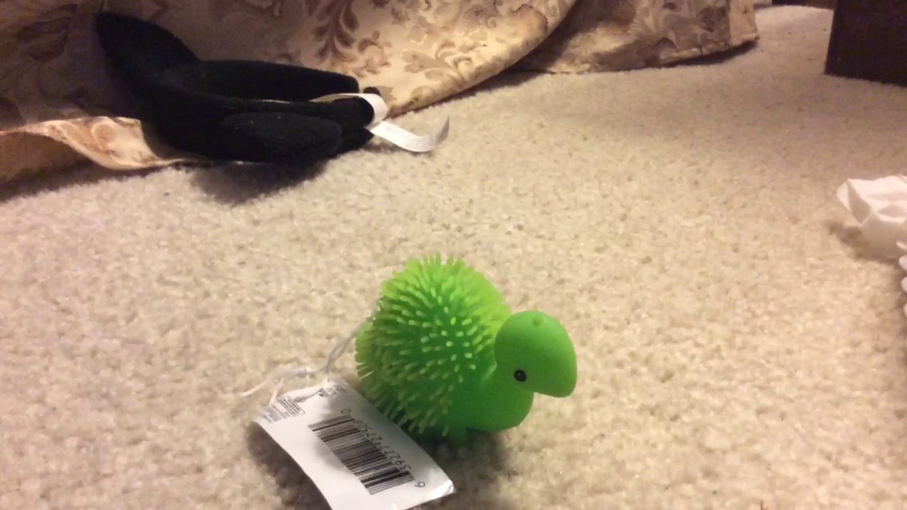 Introducing Dino-bro! - YouTube