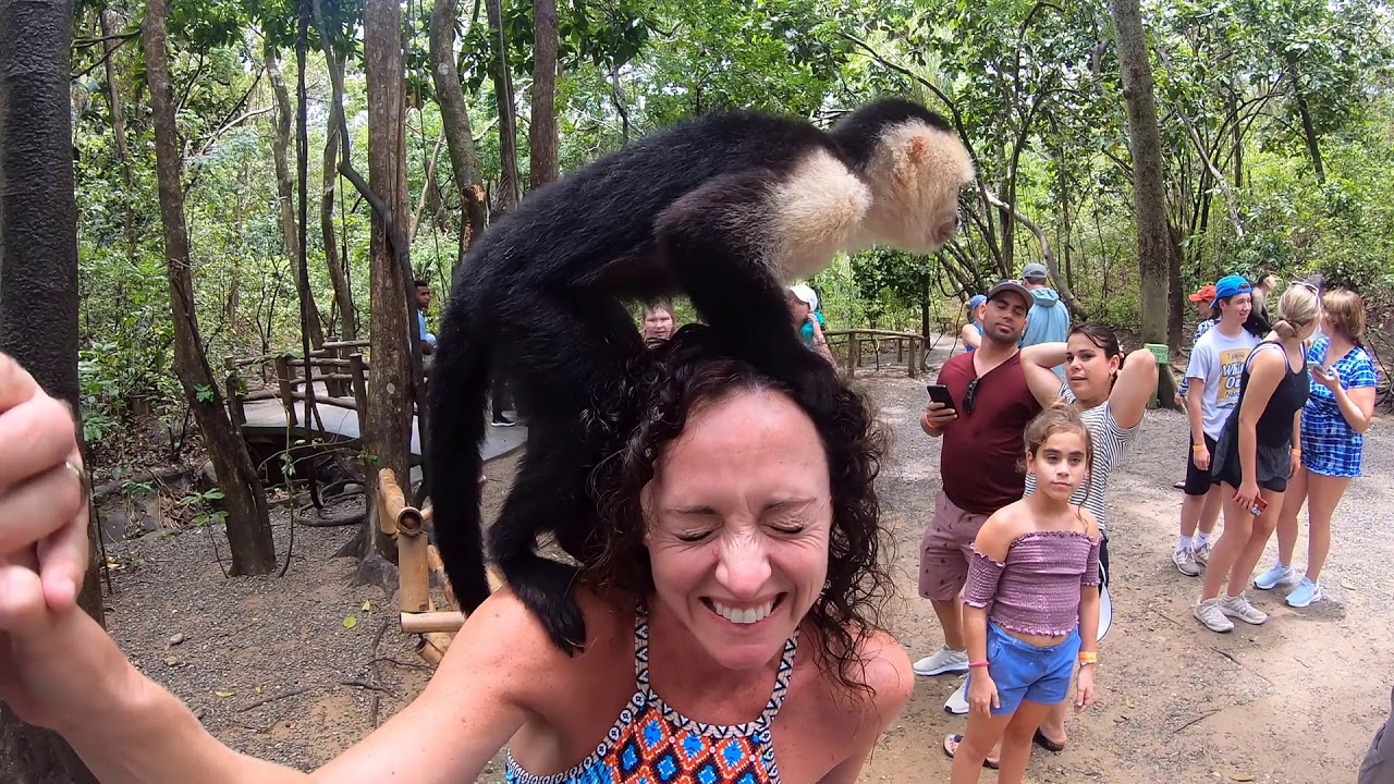 Seeing the Monkeys on Roatan, Honduras - YouTube