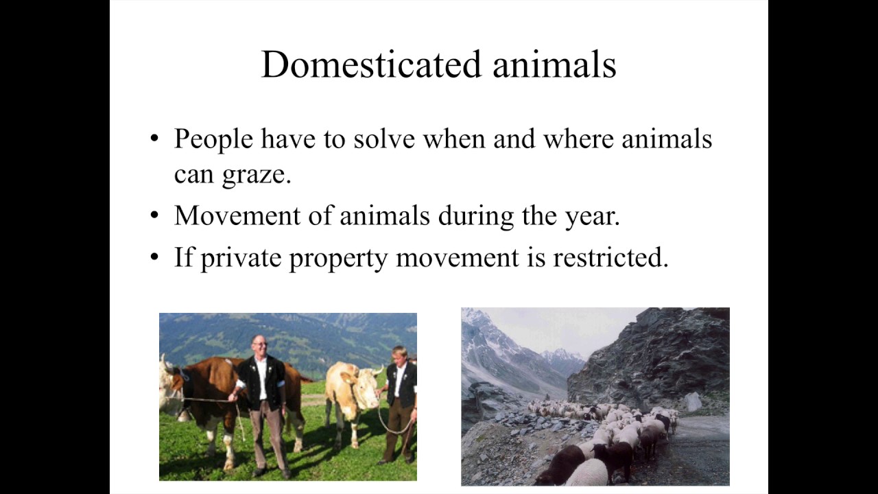 Introduction to IAD framework - YouTube