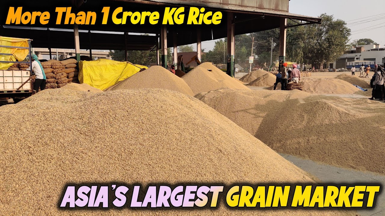 Asia's Largest Anaaj Mandi | Farmer Bill Protest #rice #khanna # ...
