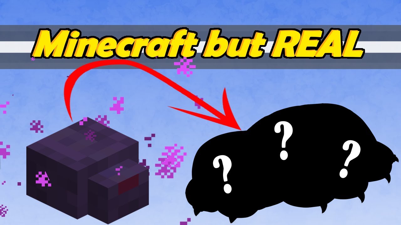 IF MINECRAFT MOBS WERE REAL (speedpaint) - YouTube