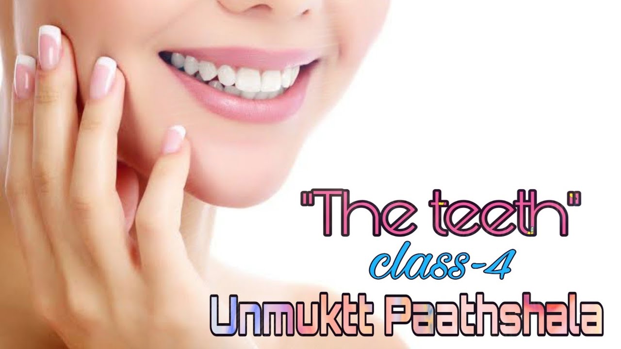 The teeth | Class-4 | Science - YouTube