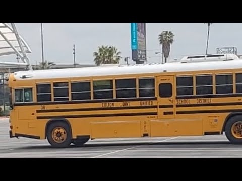 3rd day. Blue Birds, Thomas HDX Thomas Built and International school ...