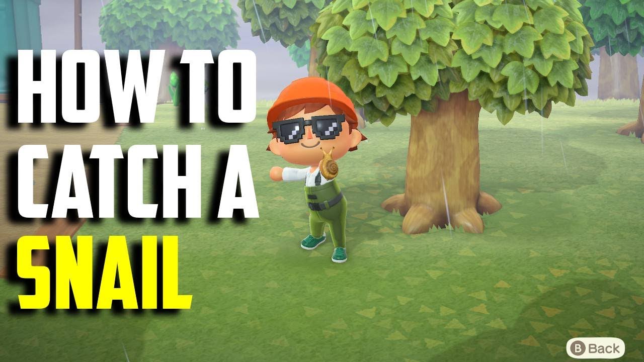 How to Catch a Snail | Snail ACNH | Animal Crossing New Horizons Snail ...