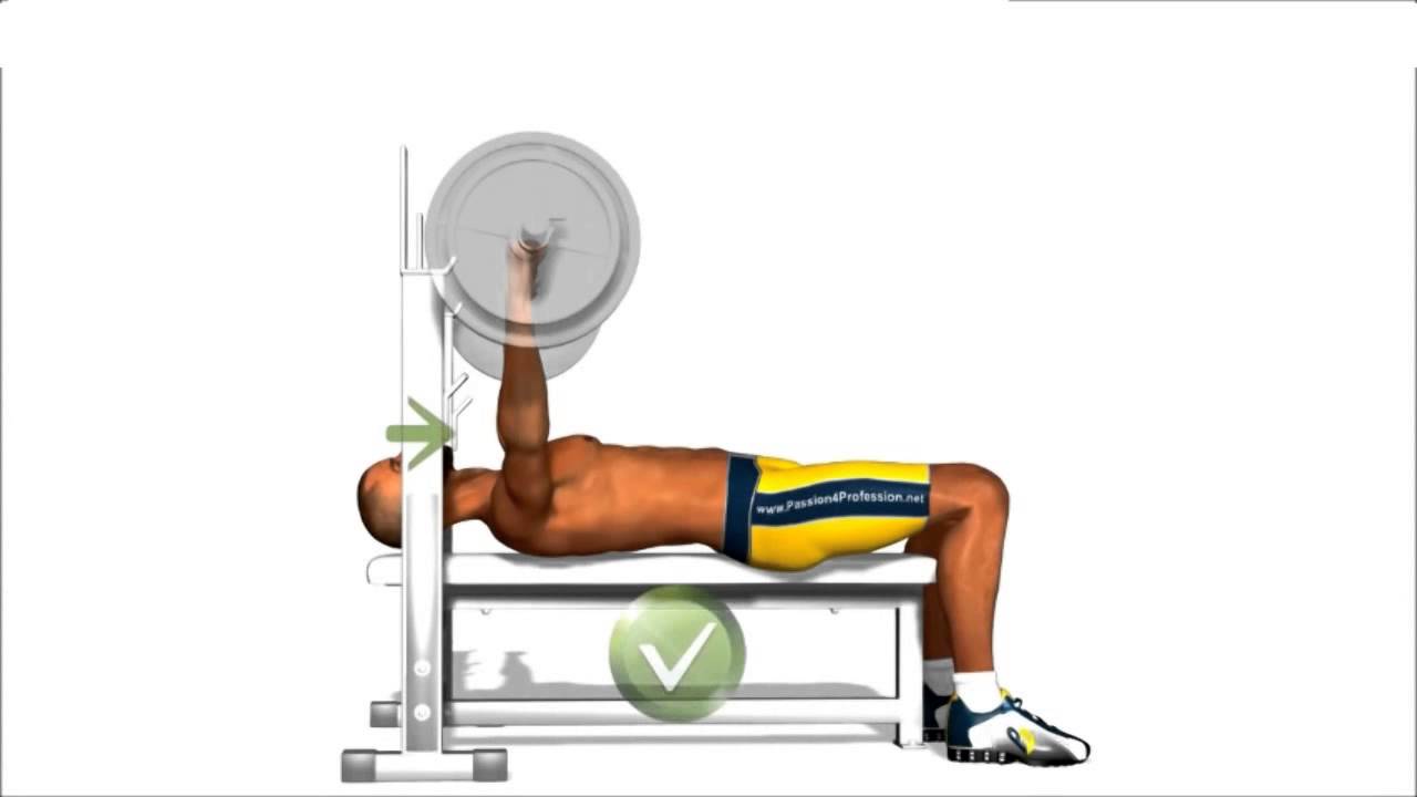 Pectoral with bench press 1 - YouTube