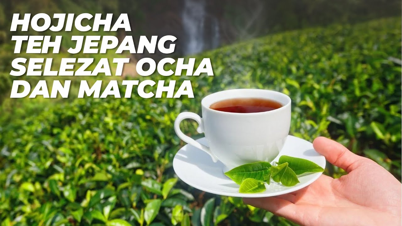 Mengenal Teh Hijau Hojicha, Mulai dari Budidaya, Panen Hingga Produksi ...