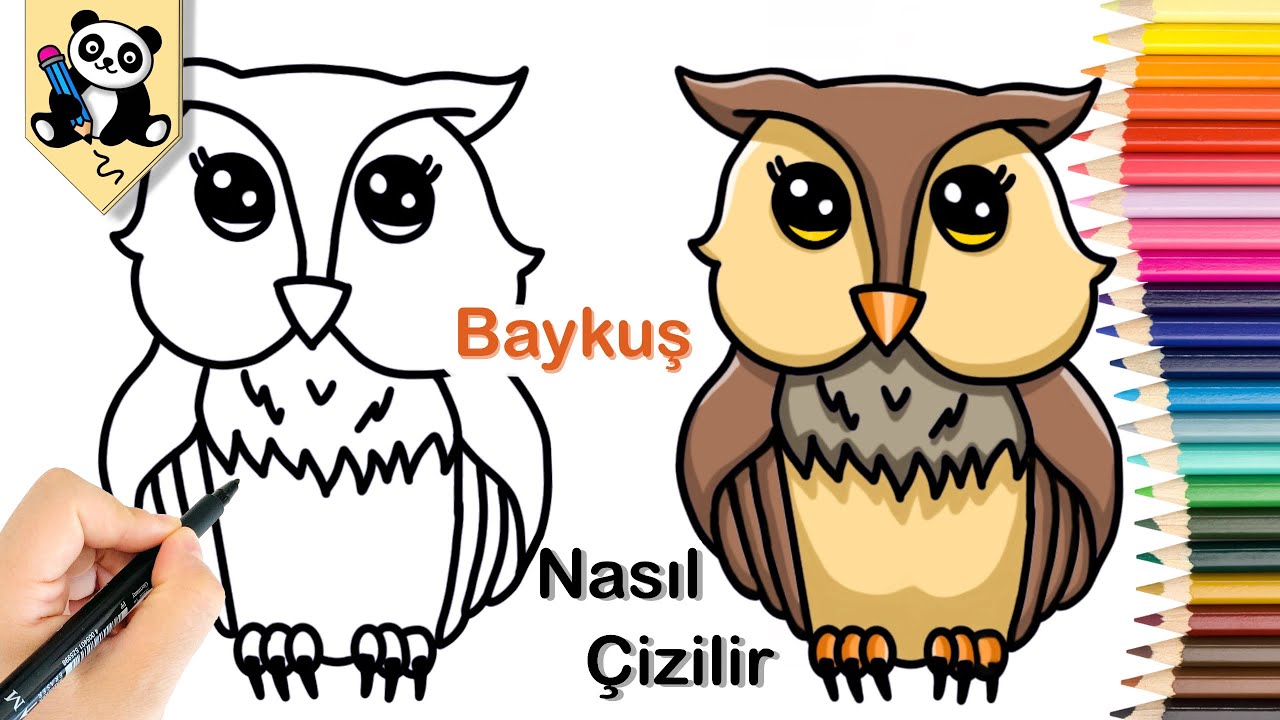 Baykuş Nasıl Çizilir - Baykuş Çizimi Kolay - Kuş Çizimleri - Kolay ...