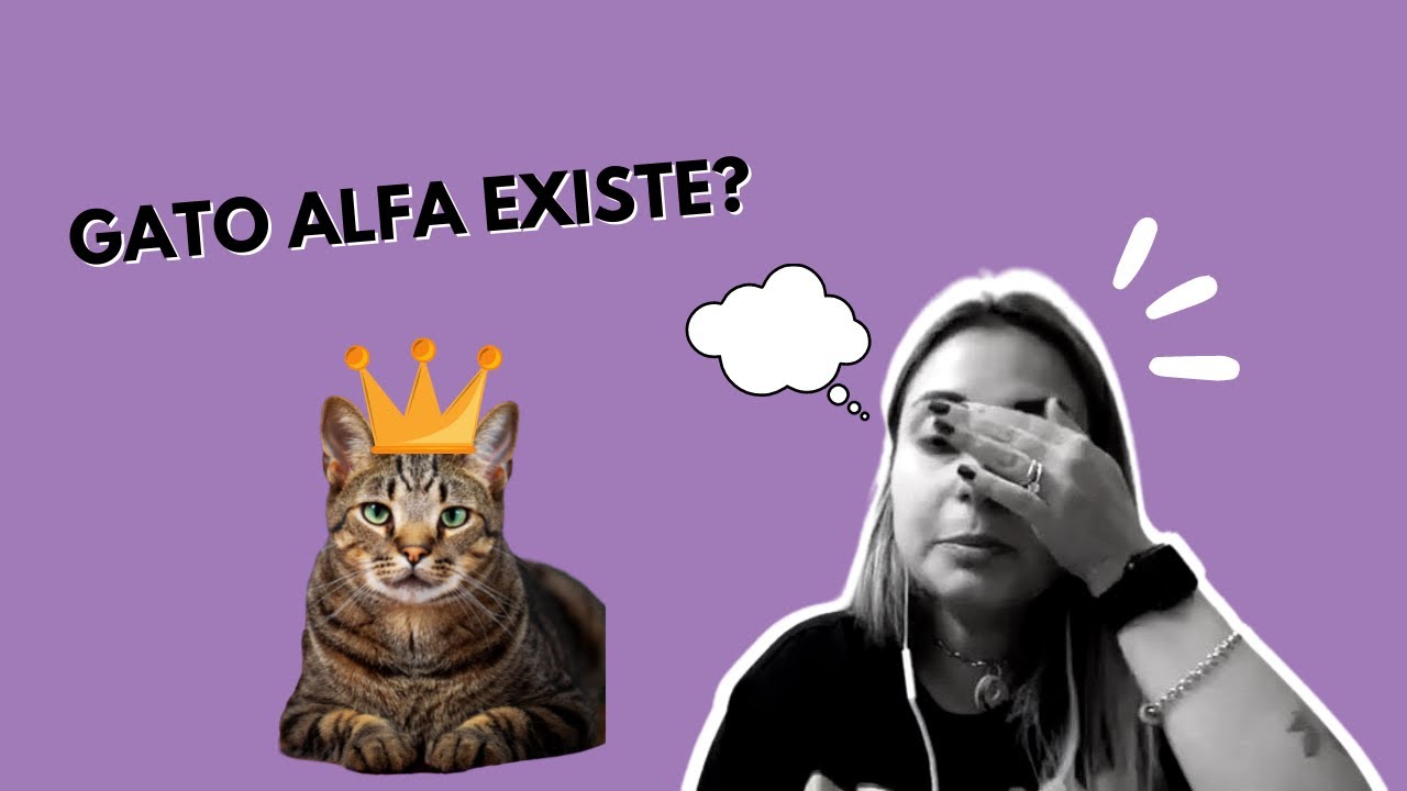 GATO ALFA EXISTE? - YouTube