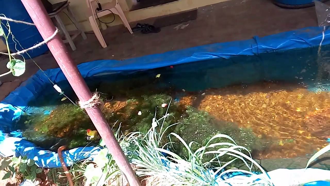 tarpaulin fish pond in tamilnadu (tuticorin kovilpatti) +919600822030 ...