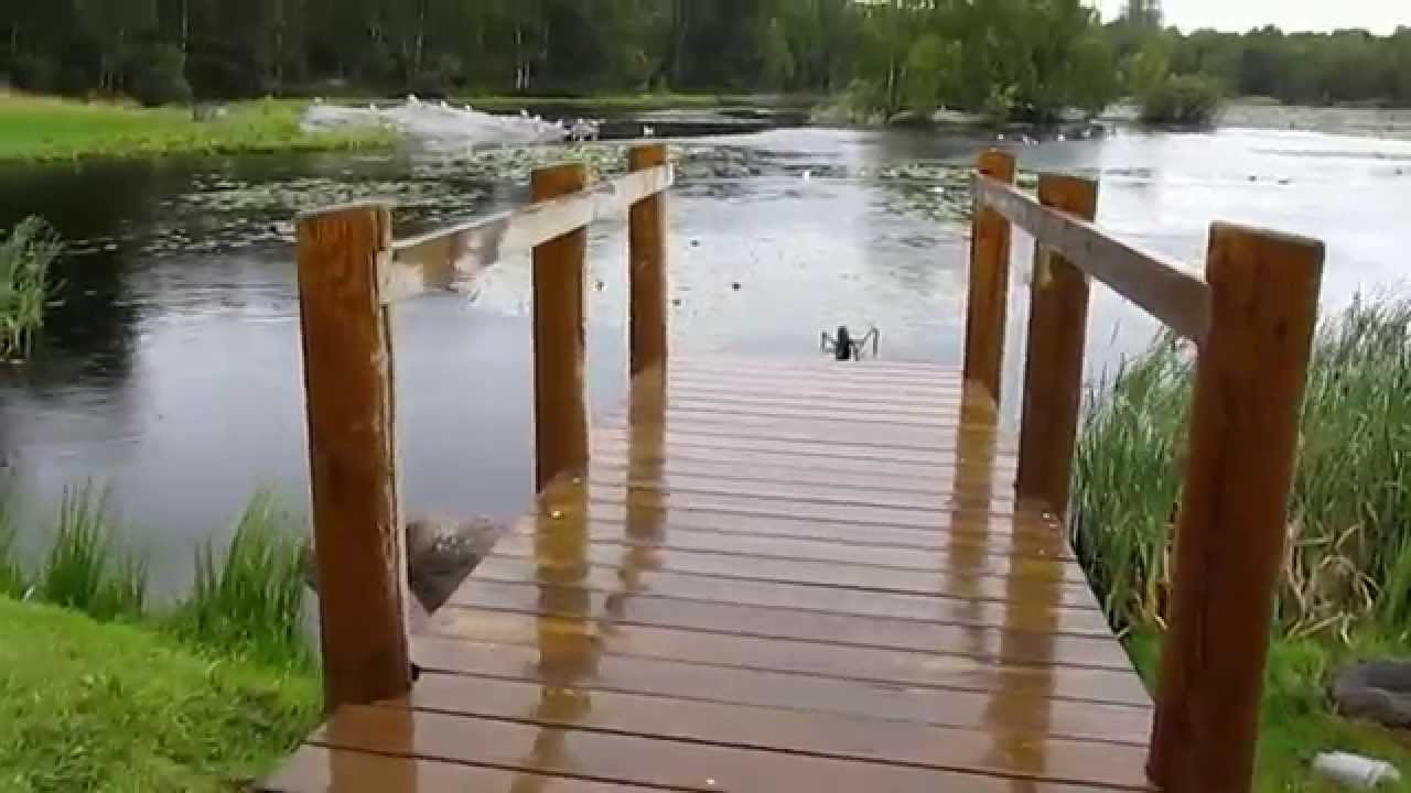 lake walk - YouTube