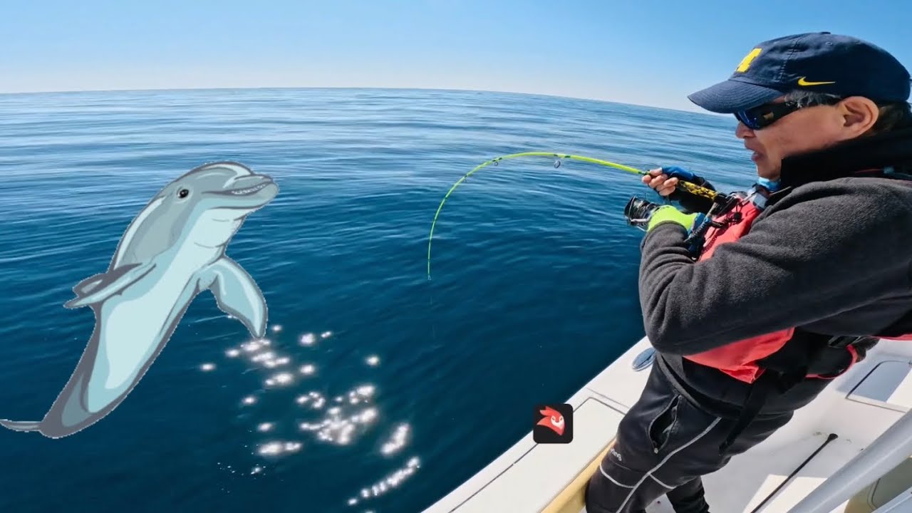 Hooked a Dolphin while Slow Pitch Jigging - YouTube