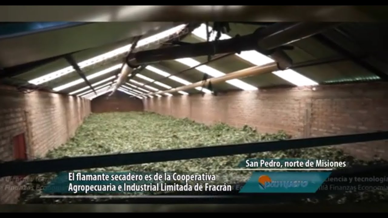 Nuevo secadero de yerba mate y más empleo - YouTube