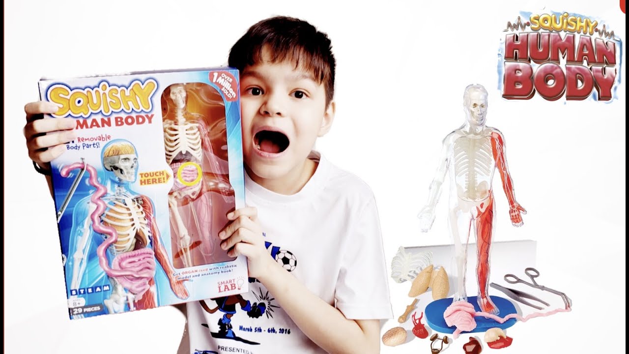 Aaron is having fun exploring Squishy Human Body (SmartLab). - YouTube