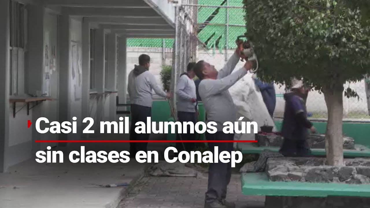 Conalep 1 Tlalpan no ha vuelto a clases: casi 2 mil alumnos llevan más ...