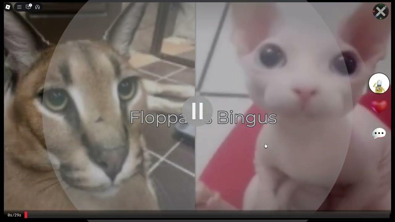 Floppa Vs BIngus - YouTube