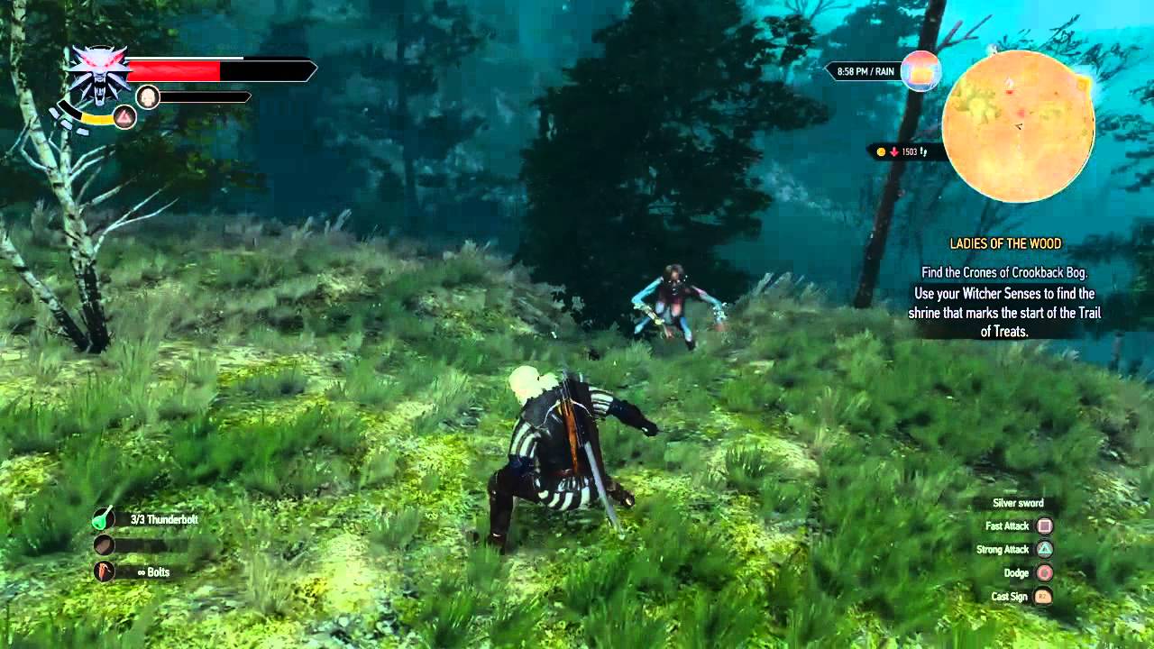 Witcher 3 - Killing Water Hag - YouTube