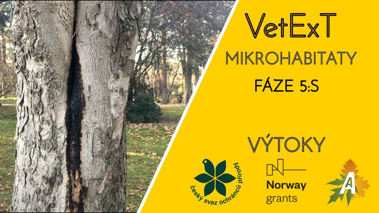 VetExt / Fáze 5:S / Mikrohabitaty / Výtoky - YouTube