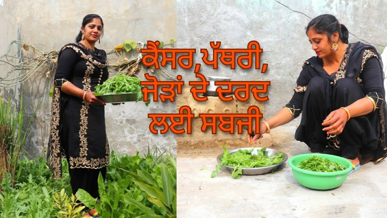 Punjabi Village Cooking😋 Village Life of Punjab 🖤 Indian rural life ...