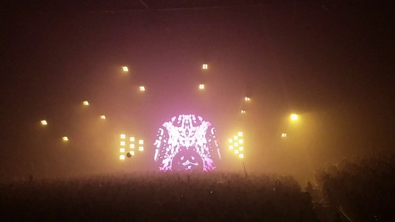 Bassnectar Freestyle Sessions Colorado - Ice/Infrared (Android Jones ...