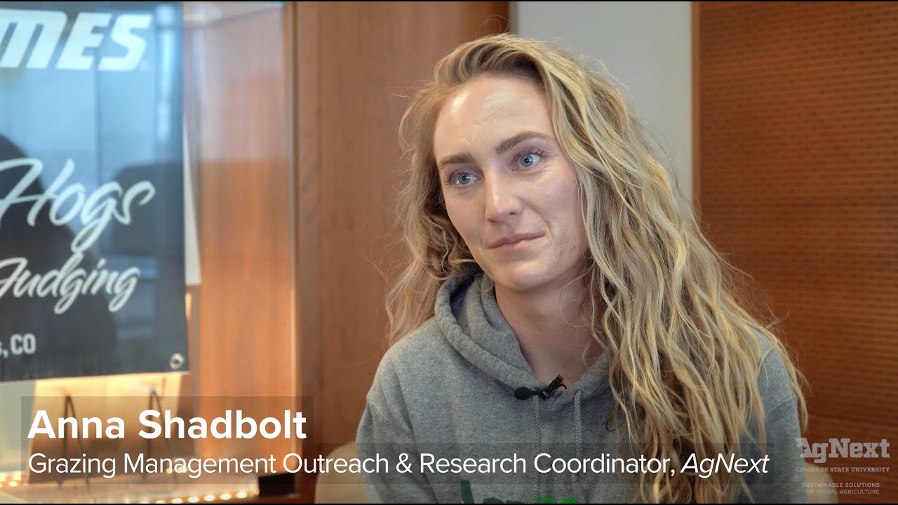 Team Spotlight: Anna Shadbolt - YouTube