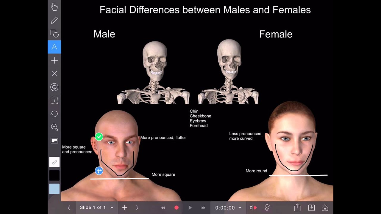 3 Examples of Using Explain Everything at NJC - YouTube