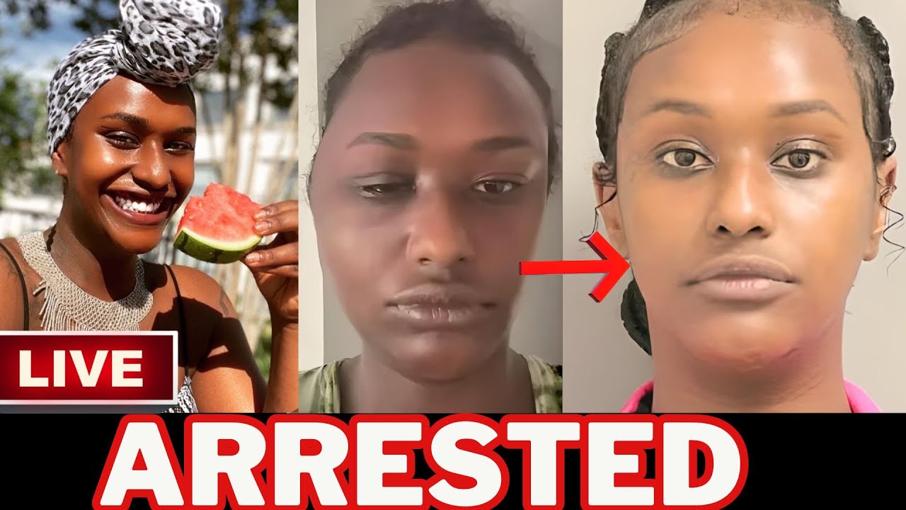 WE GOT EM! Brick Lady has been ARRESTED for GOFUNDME FRAUD! - YouTube