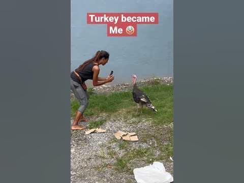 Turkey became Me 🫠 #shorts - YouTube