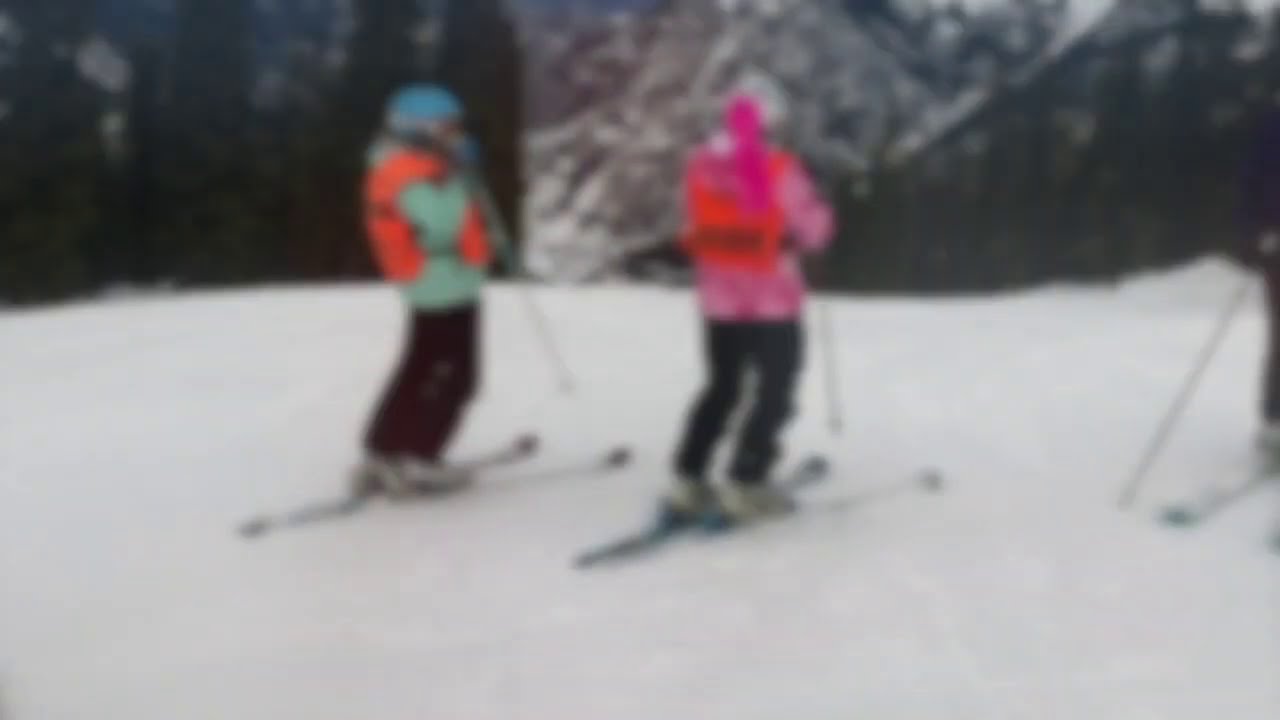 About Us - American Blind Skiing Foundation - YouTube
