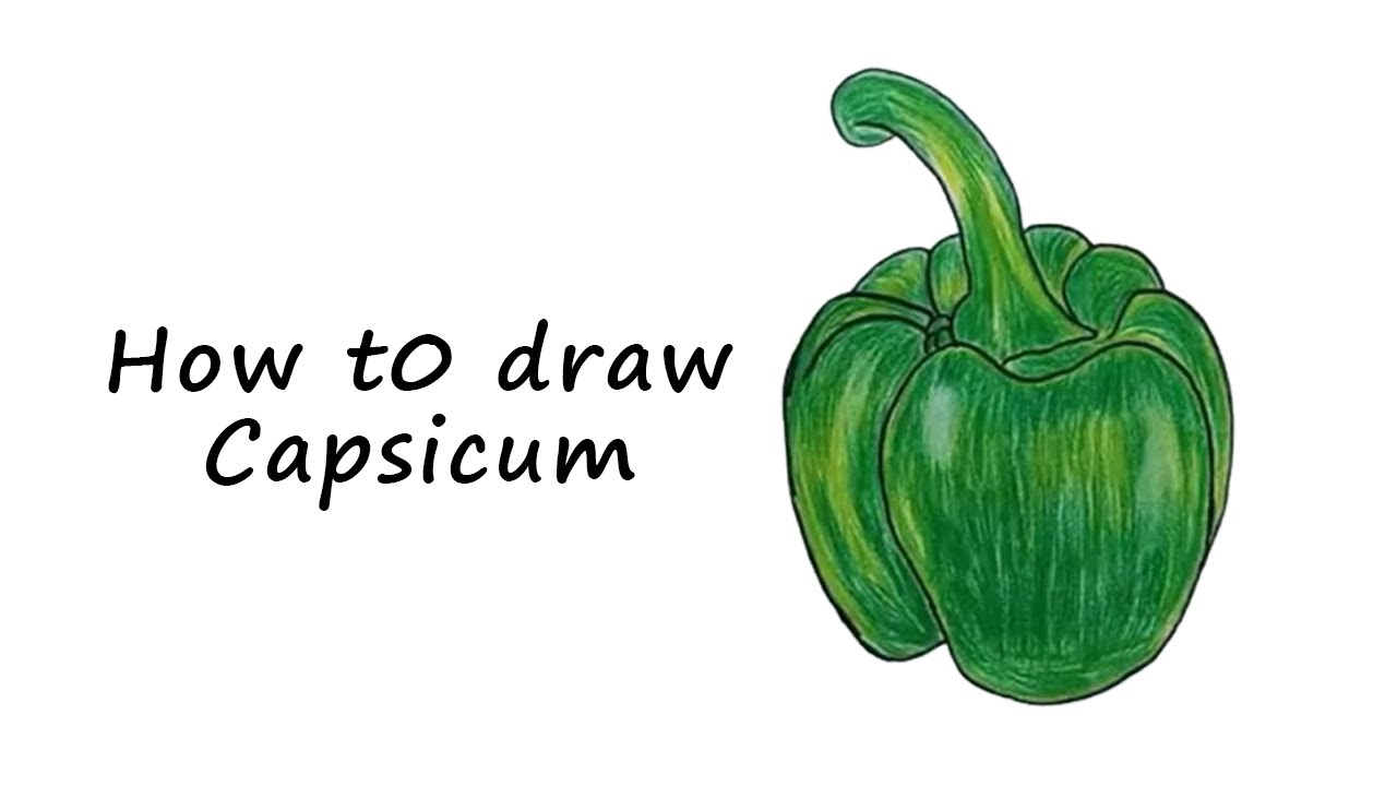 how to draw a capsicum | #easy #sketch #artfun | #drawing dare - YouTube