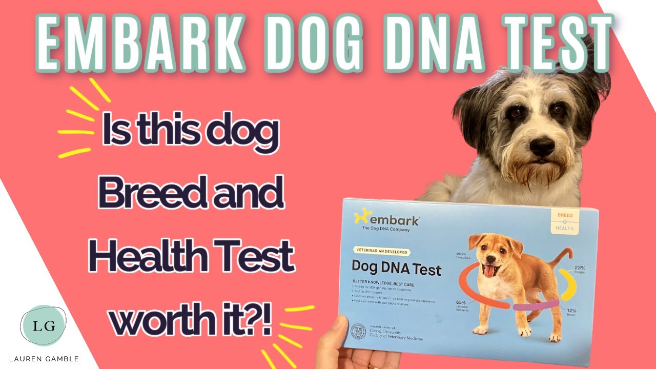Embark Dog DNA Test Review | The Results Are In! - YouTube