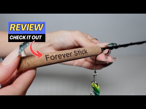 Forever Stick - Your Indoor Cat Is Bored and You Don't Even Know It