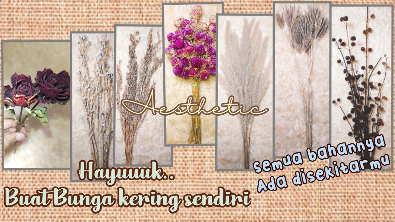 Yuk Buat Bunga Kering sendiri😊😊 - YouTube