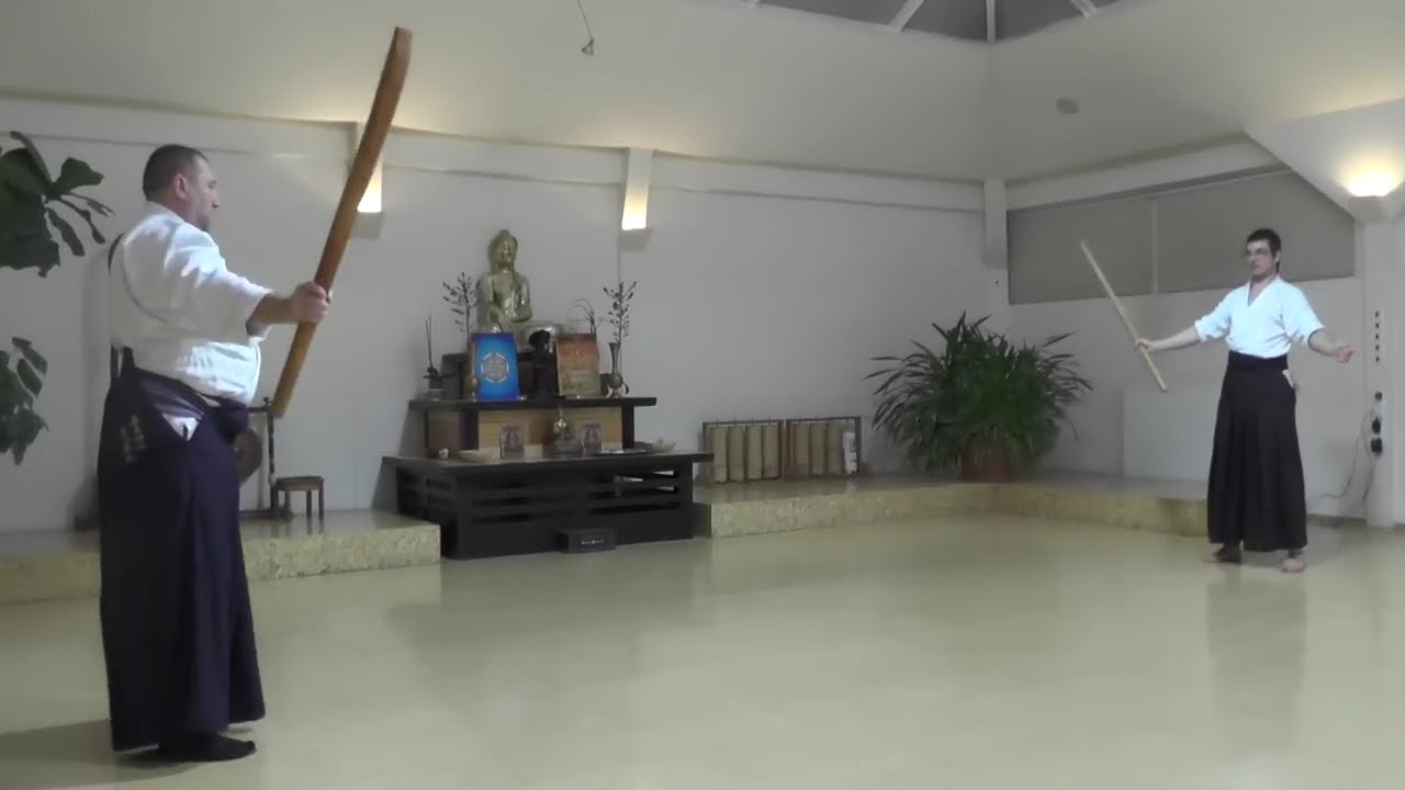 Jikishin Kage-ryu Kenjutsu 2014 - HOJO kata - YouTube