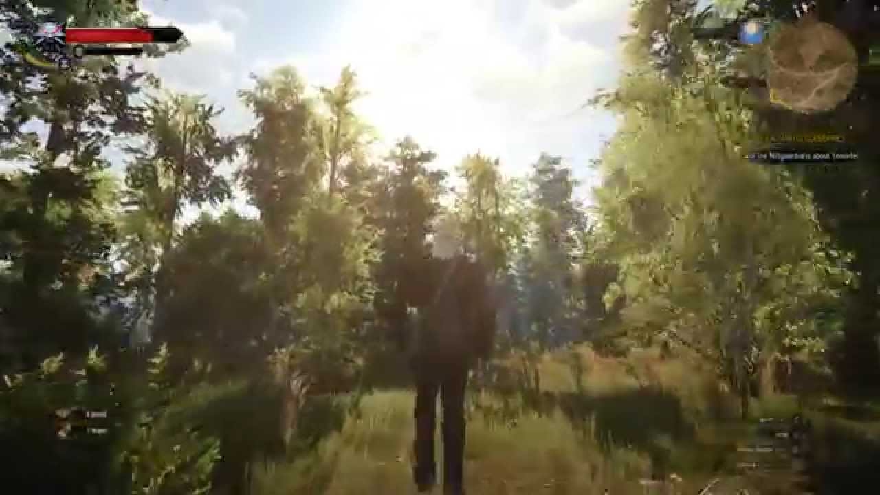 Witcher 3 - 4K Amazing Foliage, Forest @ Ultra (R9 290X) - YouTube