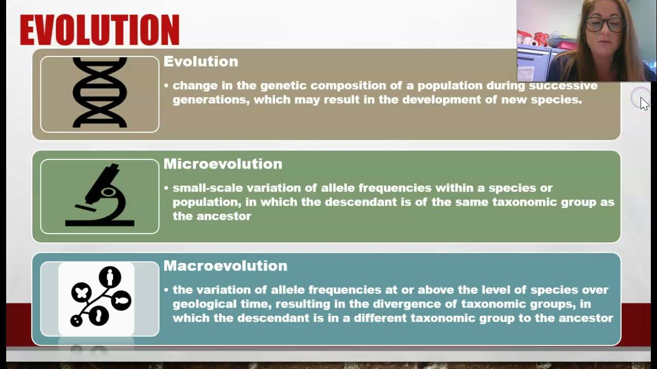 QCE Biology Unit 4 Topic 2 Evolution Overview - YouTube