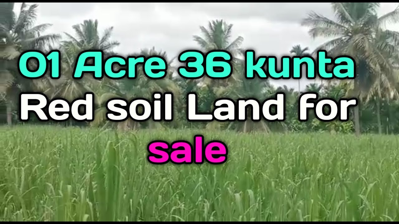 1 Acre 36 kunta Red soil Land for sale near nanjangud Your properties ...