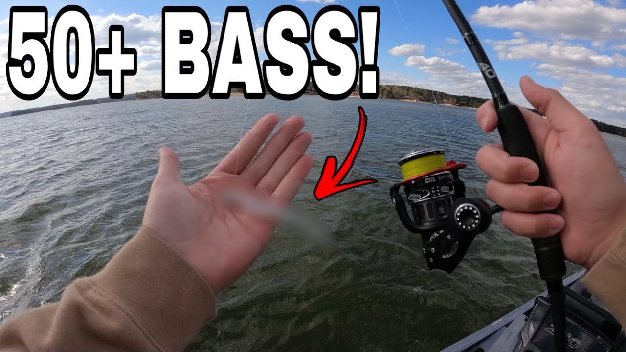 THIS BAIT CAUGHT US 50+ BASS! (INSANE DAY OF FISHING) - YouTube
