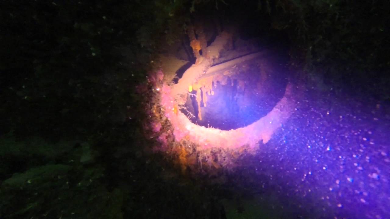 Z21 Wilhelm Heidkamp, Z22 Anton Schmitt, Narvik 2014 - YouTube