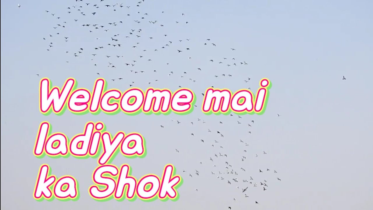 Welcome mai ladiya ka Shok Khalifa Taj ki chat par by MHD Salim Ustad ...