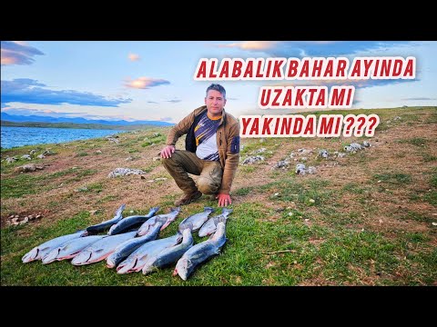  5 Metreden Alabalık .Yakın Av ,Büyük Keyif!!!