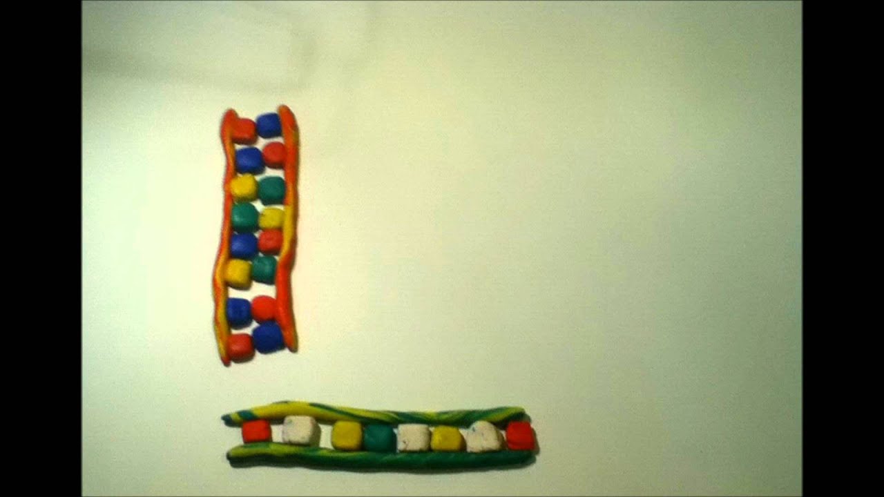 Protein Synthesis Project - YouTube