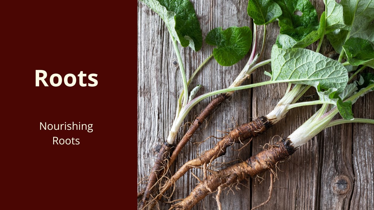 Nourishing Roots For Winter - YouTube