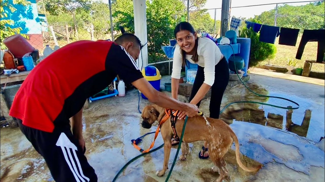 A si EMPEZAMOS NUESTRO día BAÑANDO el PERRO de la CASA 🐕 - YouTube