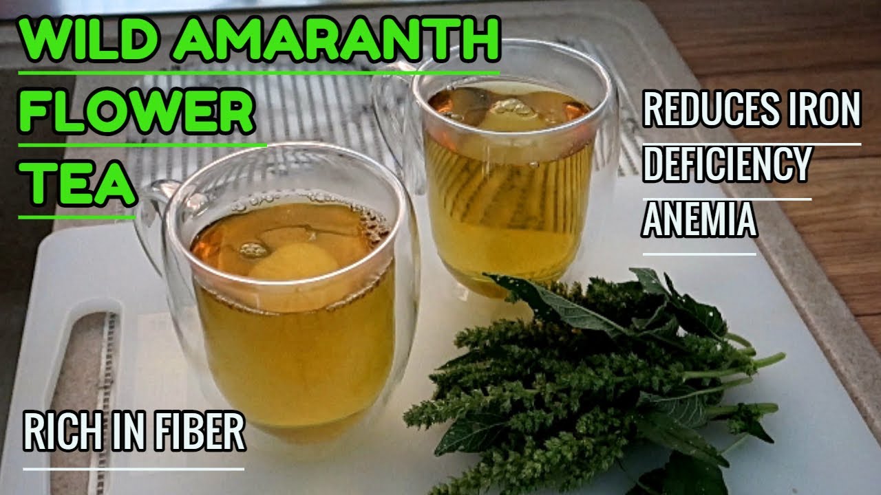 Never waste this ! How to Make WILD AMARANTH FLOWER TEA / Health ...