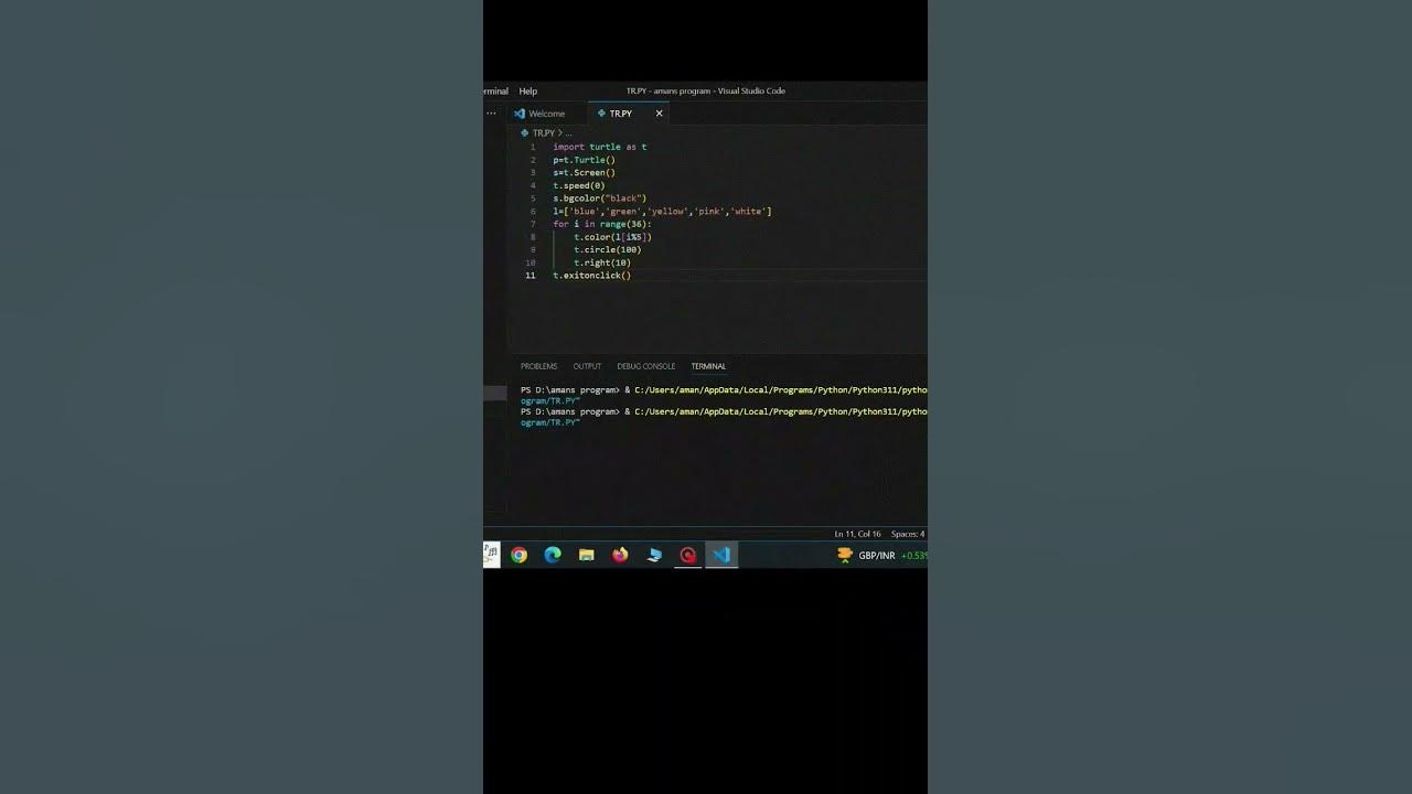 Programmer Life Coder Trending Hacker New Code Using Turtle