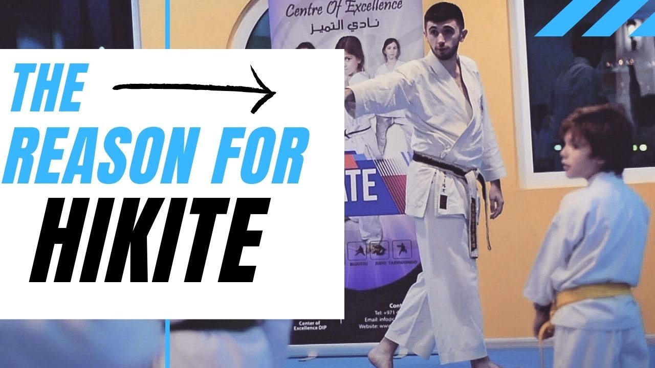 Pulling Hand (HIKITE) Training (with W.I.K.F. European & World Kata ...