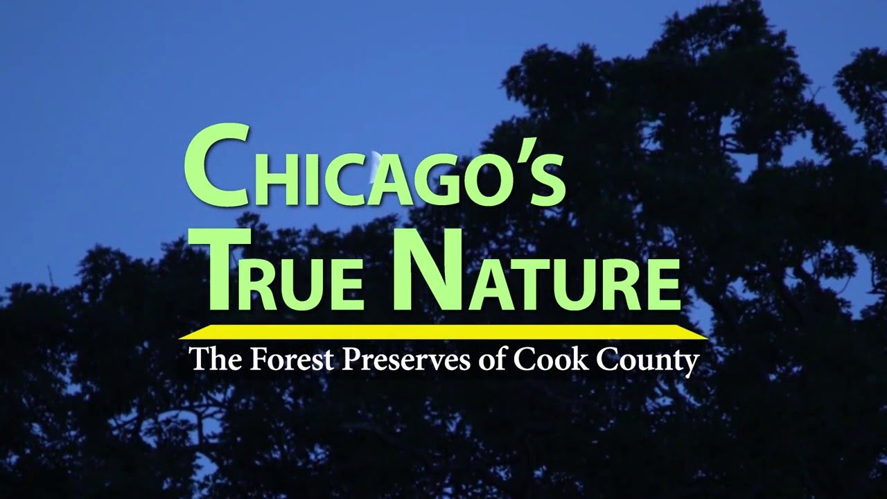 Coming May 2016 - Chicago’s True Nature: The Forest Preserves of Cook ...