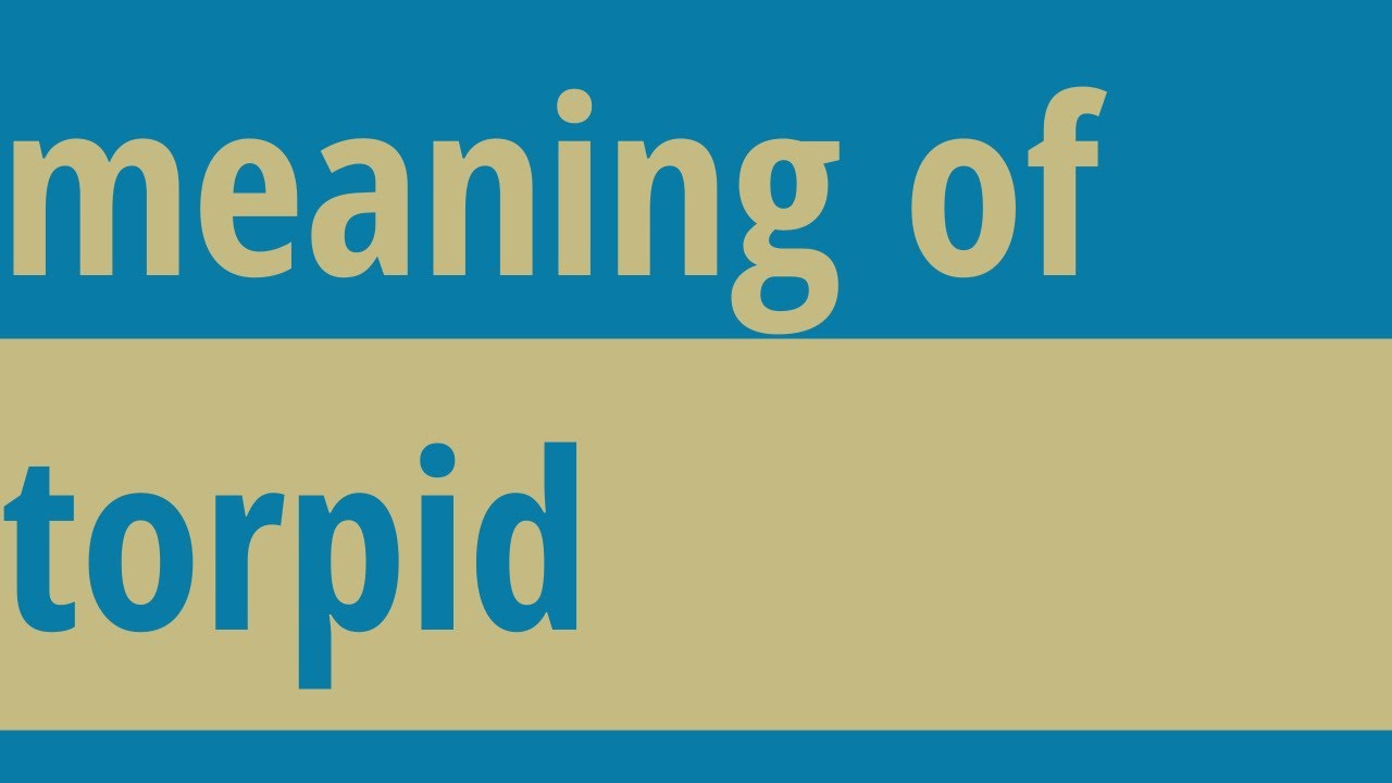 Torpid Meaning | Meaning Of Torpid | Torpid Definition | #shorts #words ...