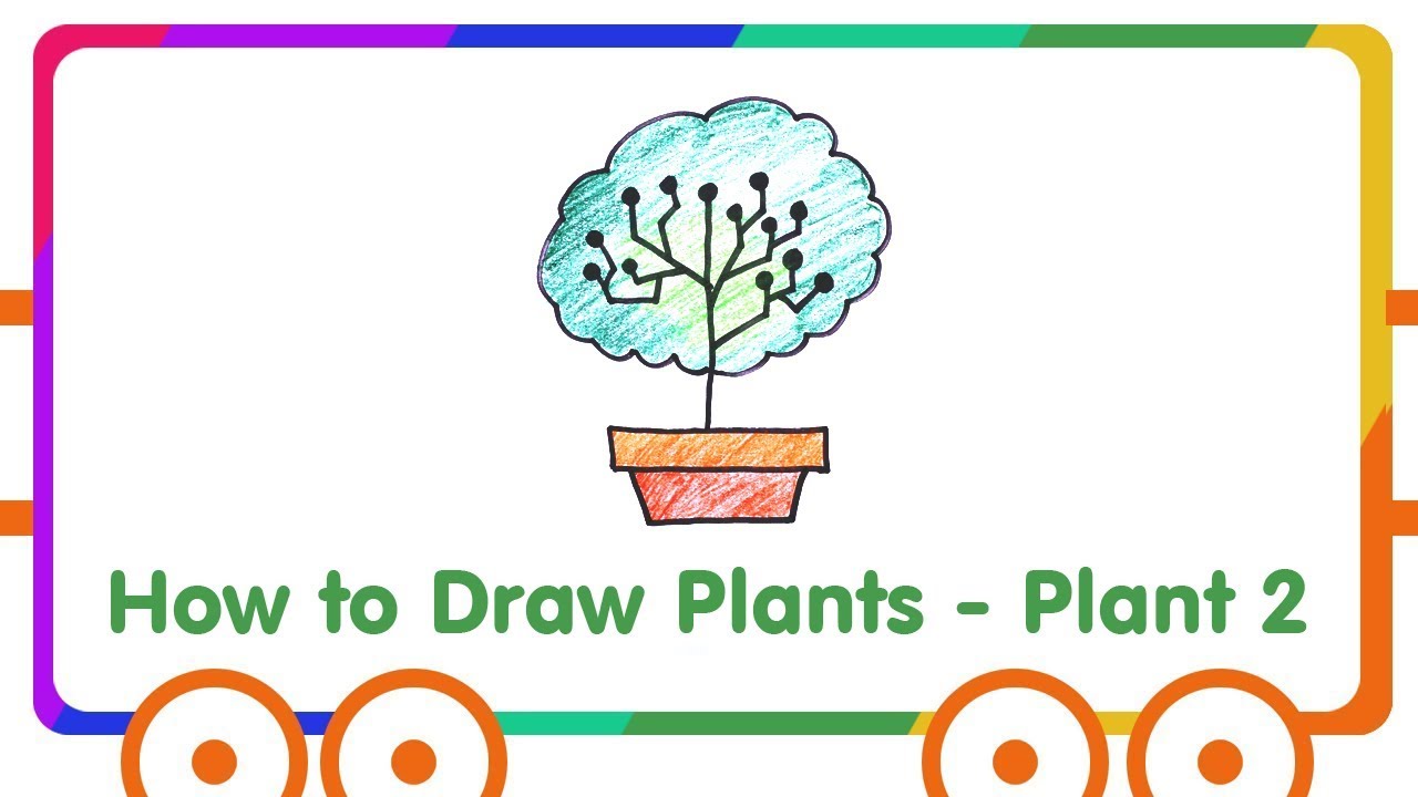 Plant Drawing - How to Draw a Plant - Step-by-Step - Part 2 - YouTube